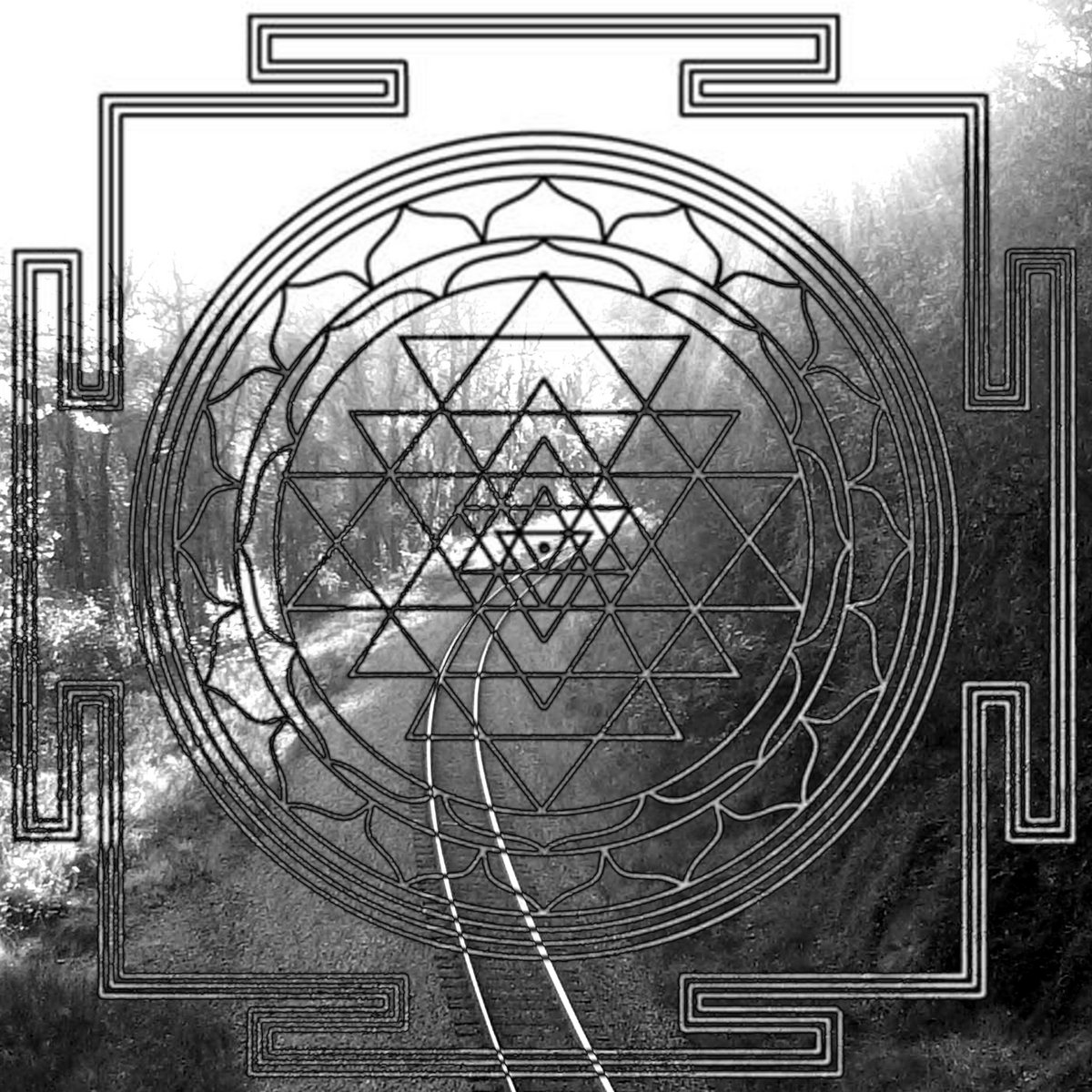 Endless Guitar Meditations | Marigold Levinson, Alexander Homan | Alex ...