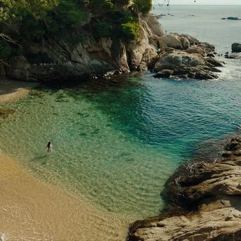 Music | Anti- Records