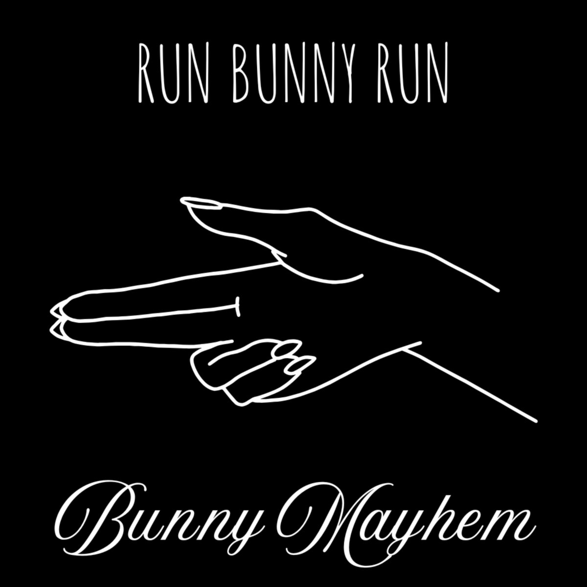 Run Bunny Run | Bunny Mayhem