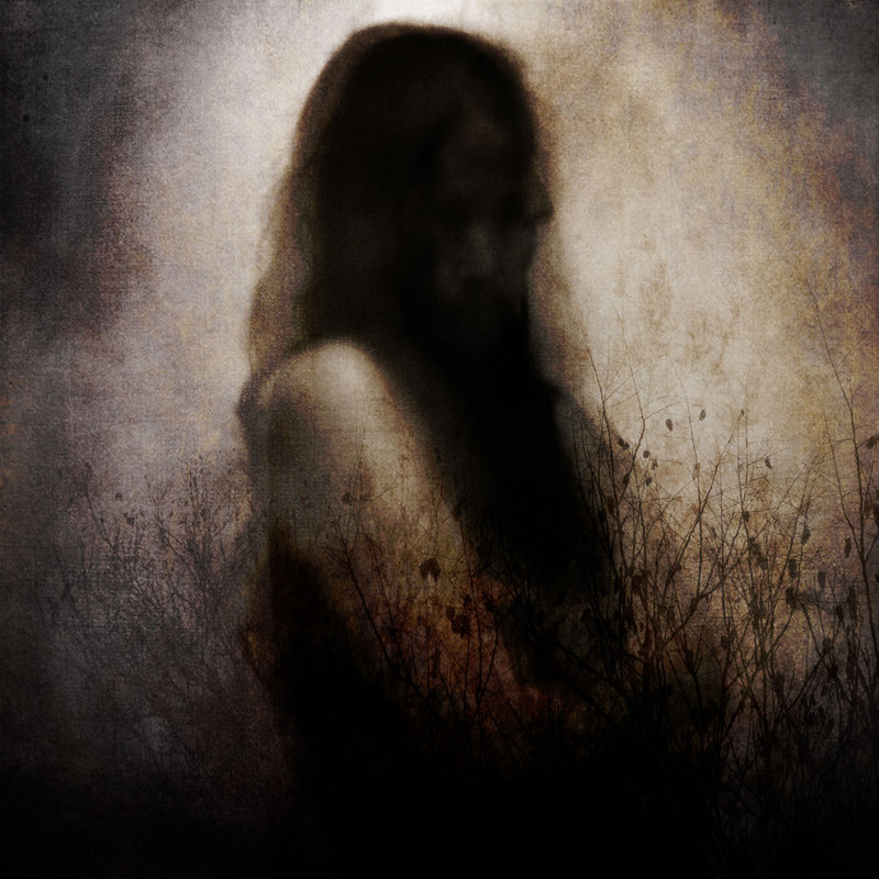 Phenomena | Mike Braudrick