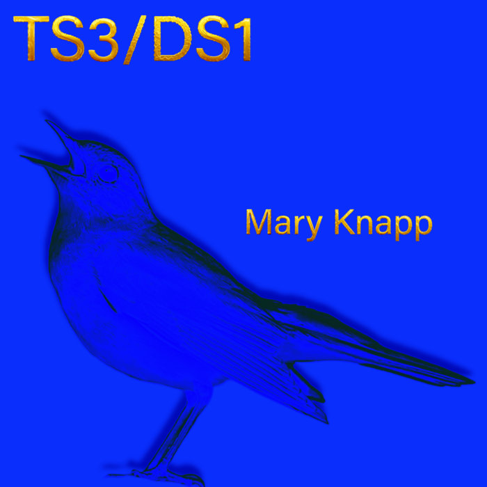 TS3 / DS1 | Mary Knapp