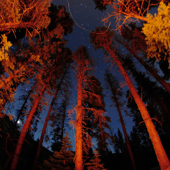 Embers | Evergreen Refuge