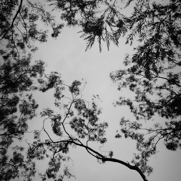 Withdrawn | Sjae the artist