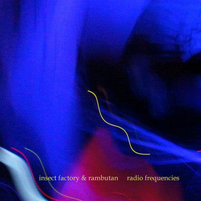 radio frequencies | Insect Factory & Rambutan | INSECT FACTORY