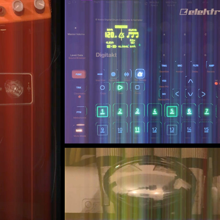 Soft Fail / Hard Fail | Sunbear | Sunbear Records