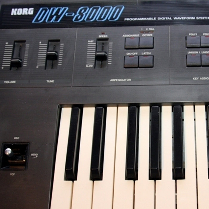 KORG DW8000 | Vintage Synth Samples
