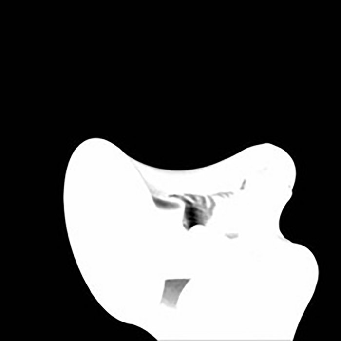 hive rise | Daniela Huerta