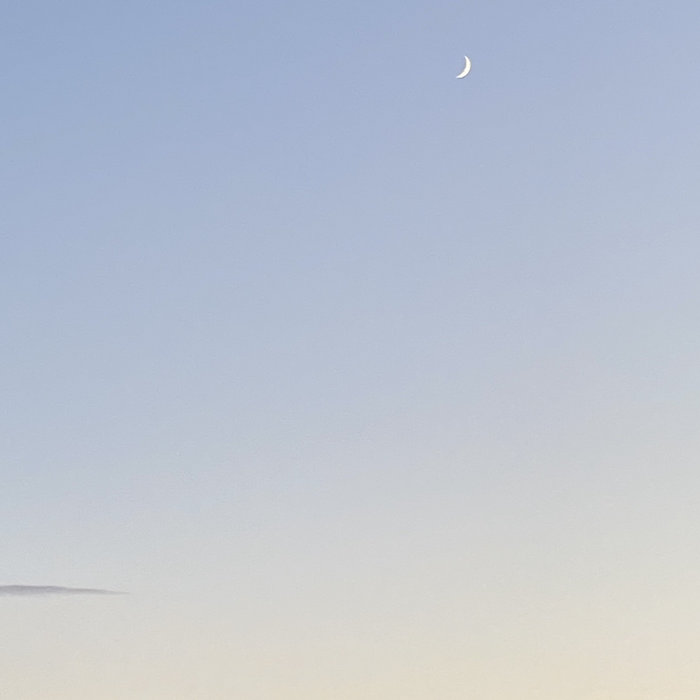 Ruined It Up | PAINJERK WRACKED AND RUINED