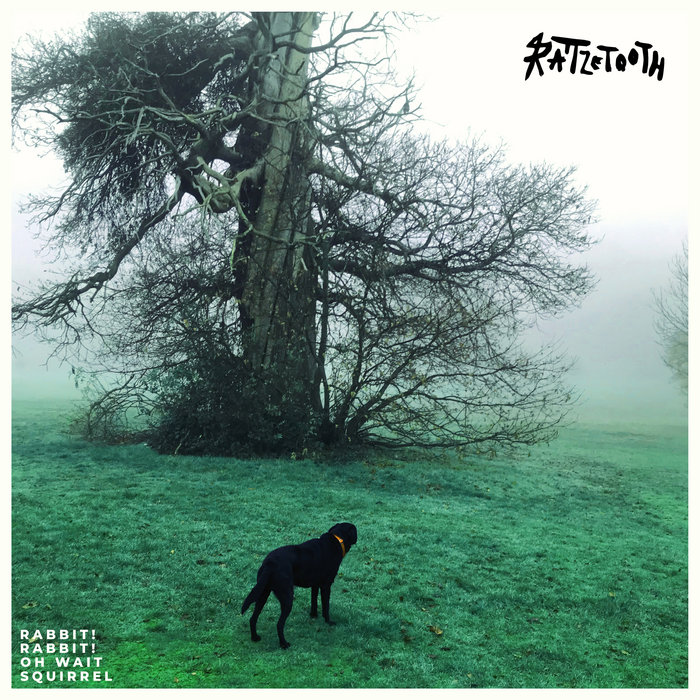 Rabbit! Rabbit! Oh Wait Squirrel | Rattletooth