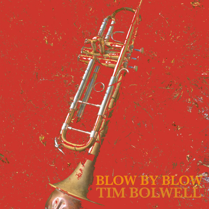 Blow By Blow | Tim Bolwell