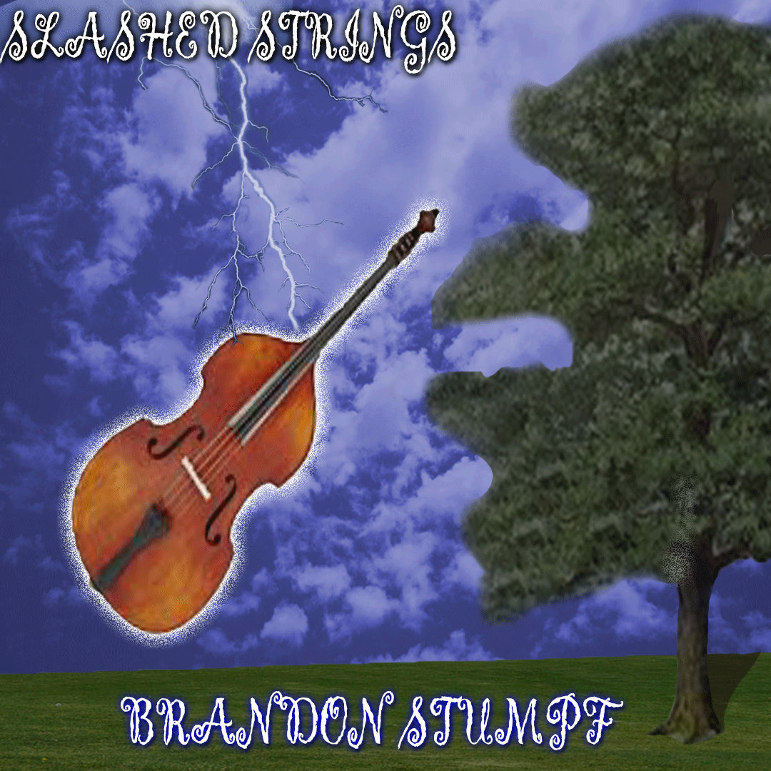 Slashed Strings | Brandon Stumpf