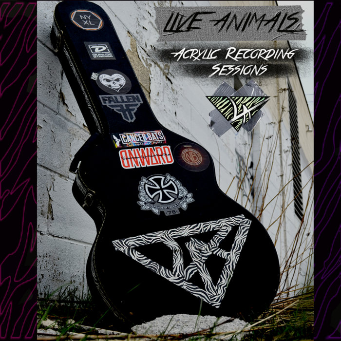 Live Animals - Acrylic Recording Sessions | Live Animals