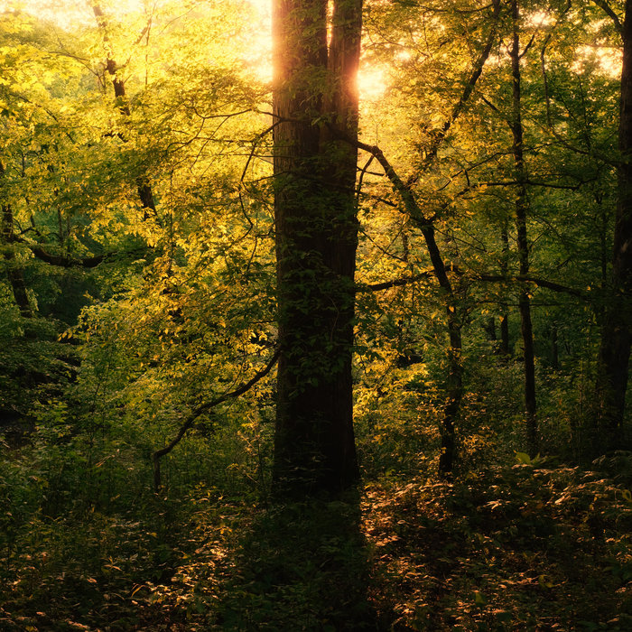 Blinking in the Wind | Ruby Haunt