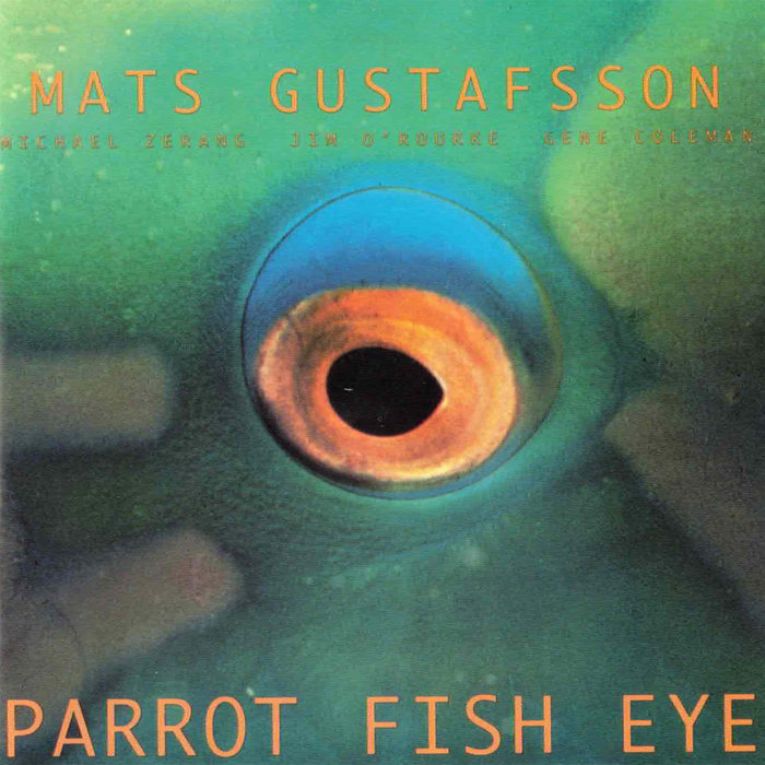 Parrot Fish Eye | Mats Gustafsson | okka disk