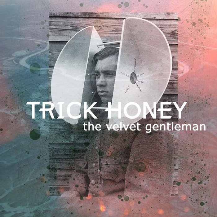 the velvet gentleman | Trick Honey