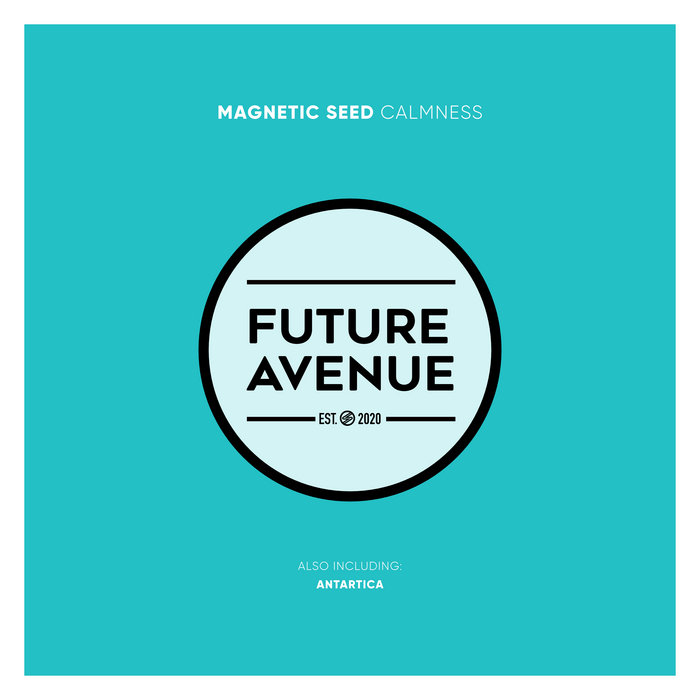 Calmness | Magnetic Seed | Future Avenue