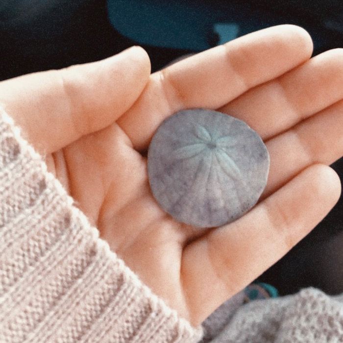 time capsule | YEMY