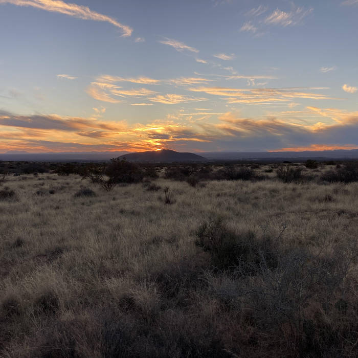 Tierra de Encanto | Matt Canning