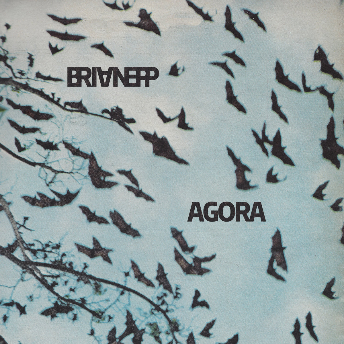 The Agora | Brian Epp