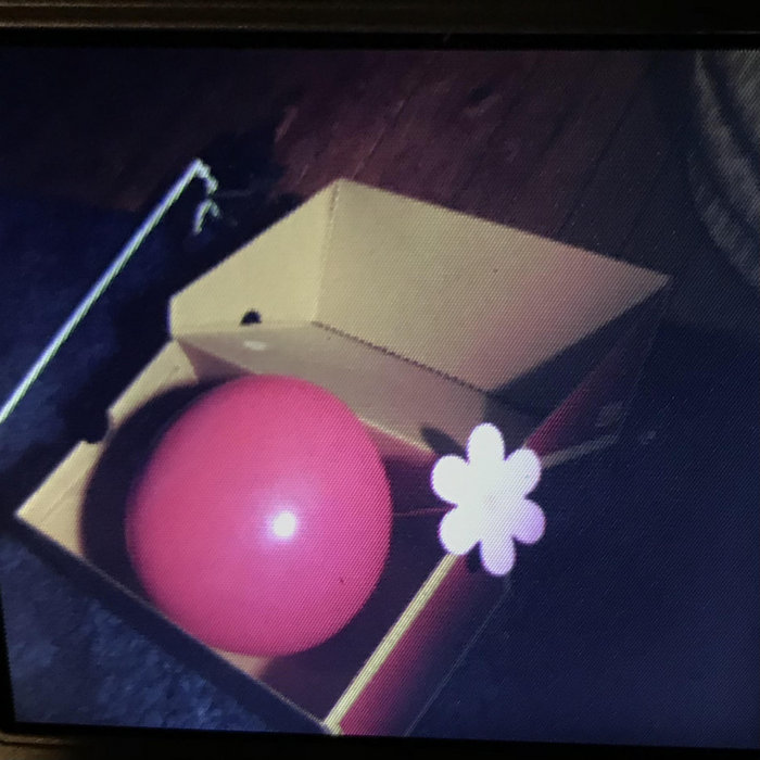 another ghost | another ghost | cycle annie recording co.