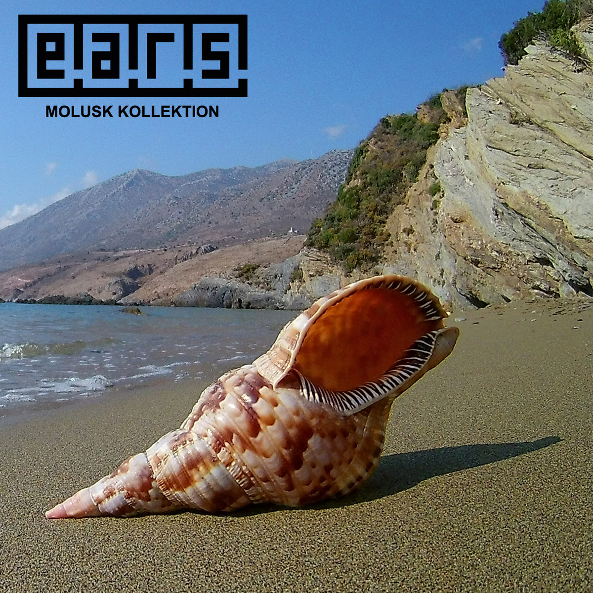 Molusk Kollektion | E.A.R.S.