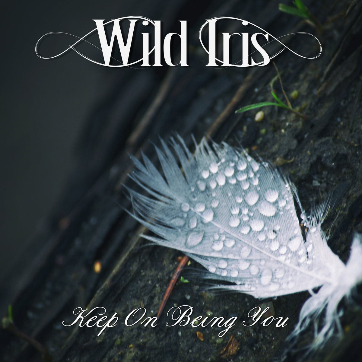 Keep On Being You (Single) | Wild Iris
