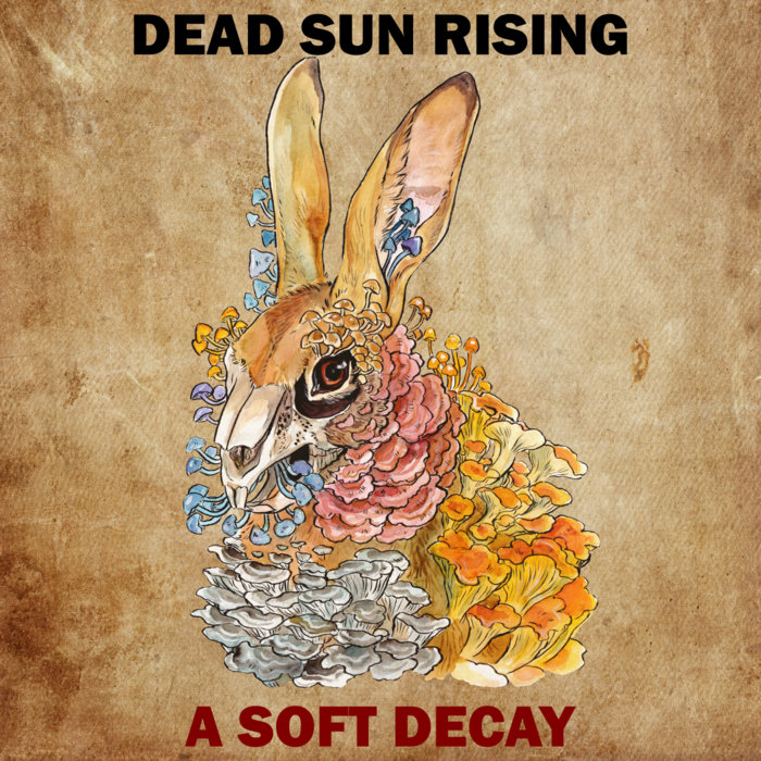 A Soft Decay | Dead Sun Rising