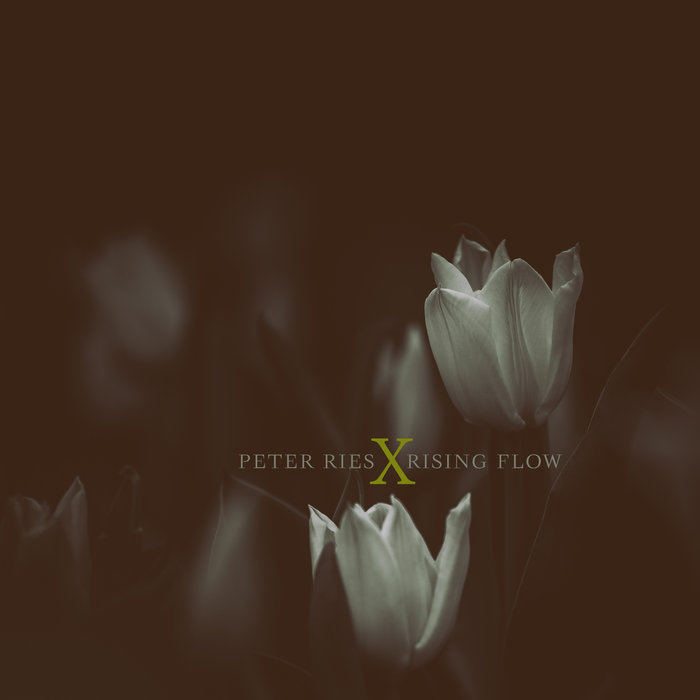 Rising Flow | Peter Ries