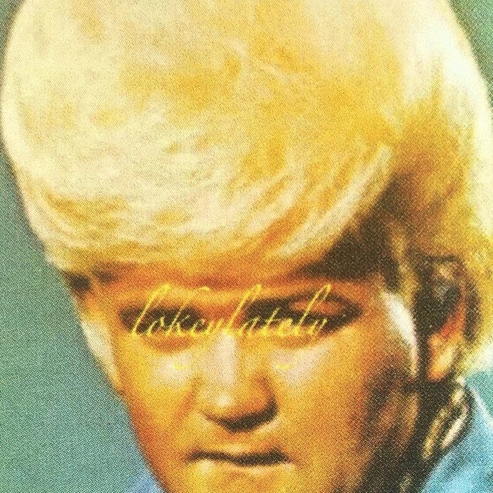 The Punk Album (Sick Dude) | lokeylately