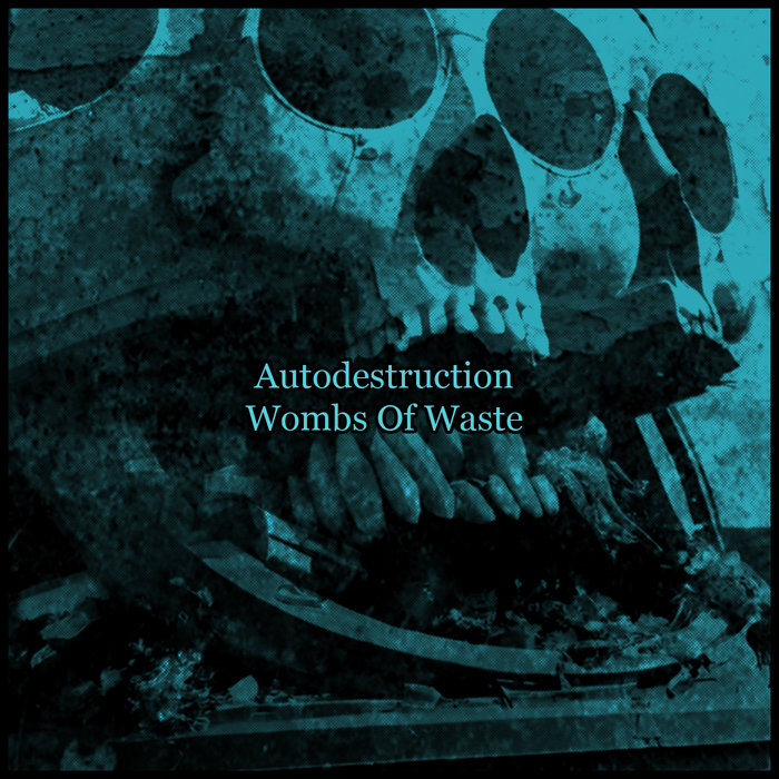Wombs Of Waste | Autodestruction | Wall Noise Action