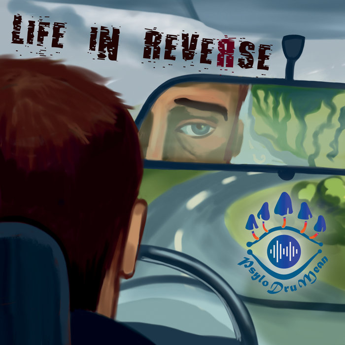 Life in Reverse | PsyloDruMean