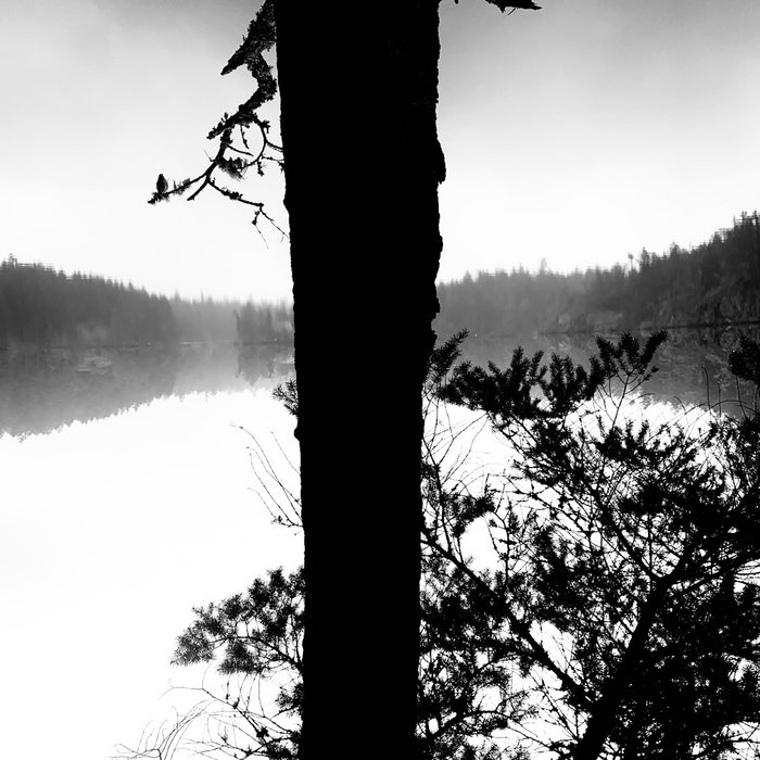 Sound Poems | Explode!