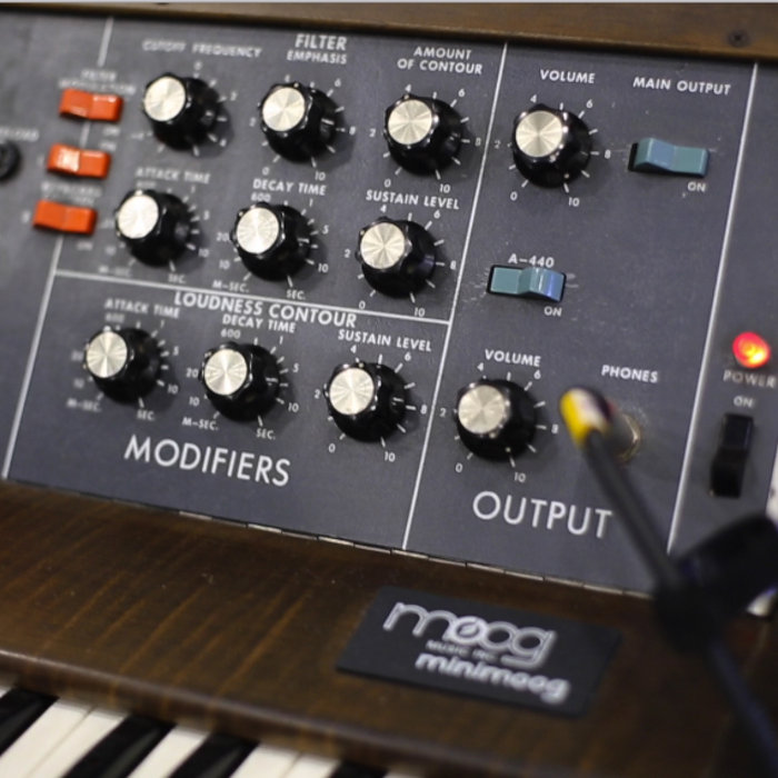 Moog Model D Sample Pack | Samples Unlimited