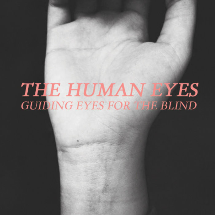 Guiding Eyes For The Blind | The Human Eyes