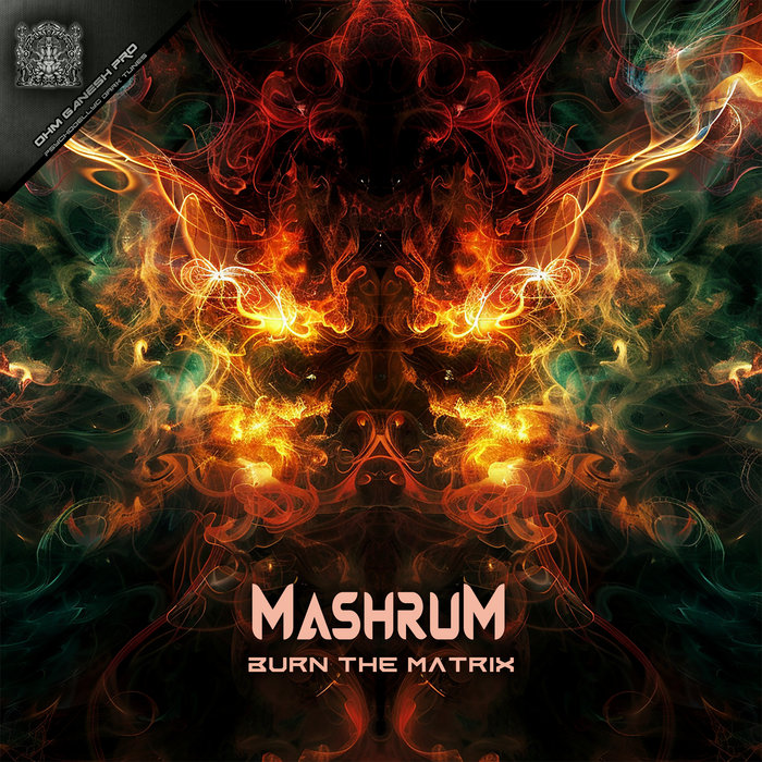 Burn The Matrix | Mashrum (Ohm Ganesh Pro) | Ohm Ganesh Pro