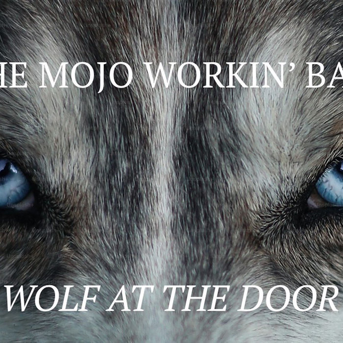 MOJO WORKIN' BAND - WOLF AT THE DOOR | MOJO WORKIN' BAND | MOJO WORKIN'BAND