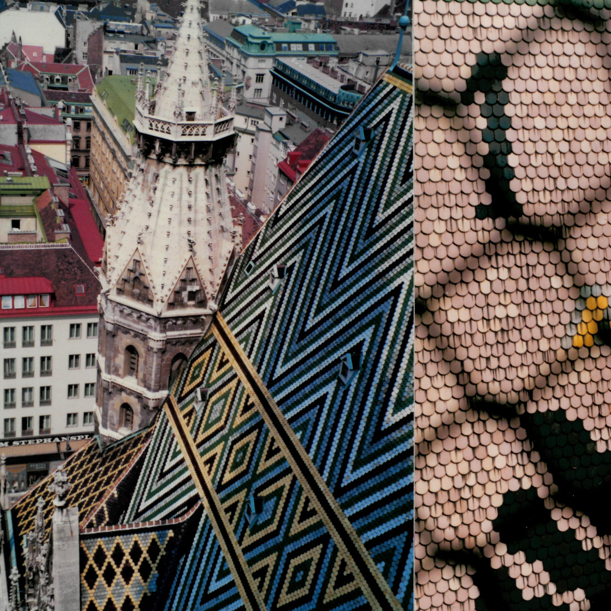 Slippery When Wet / Air | Bug Snapper