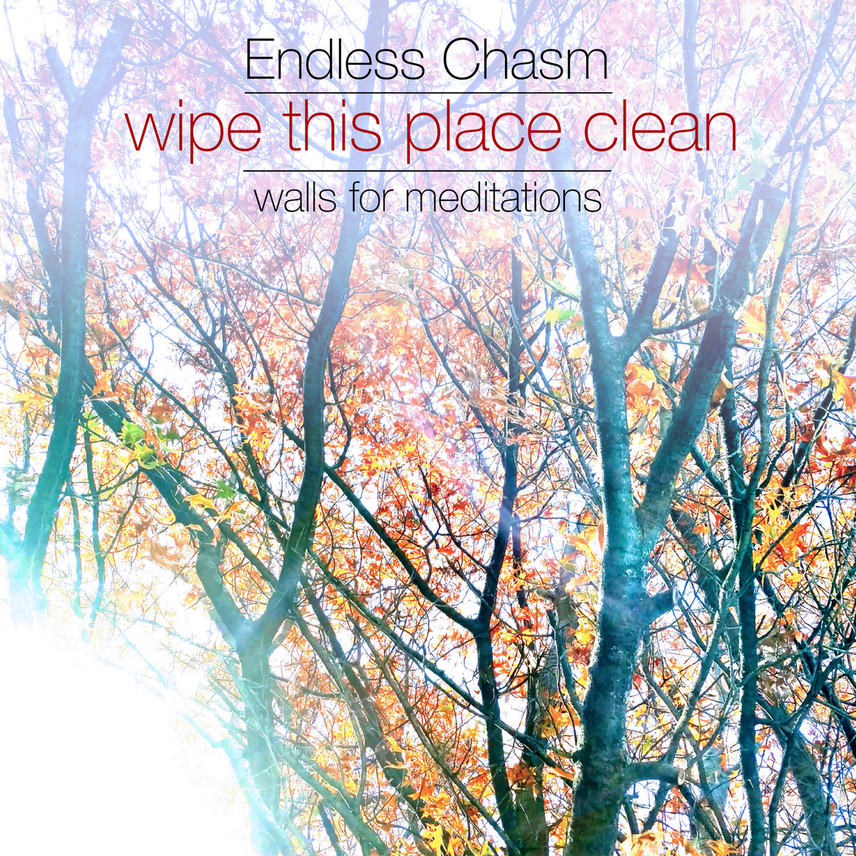 Wipe This Place Clean | Endless Chasm | Reason Art Records