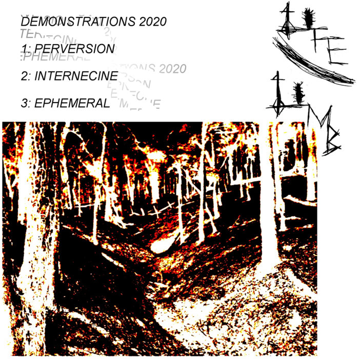 Demonstrations 2020 | LIFE OVER LIMB