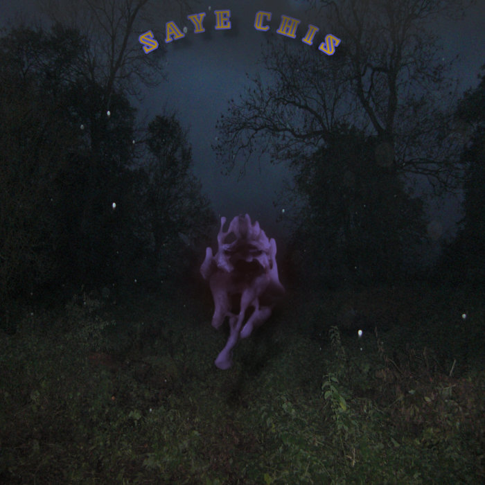 Shunt Shifter | Saye Chi's