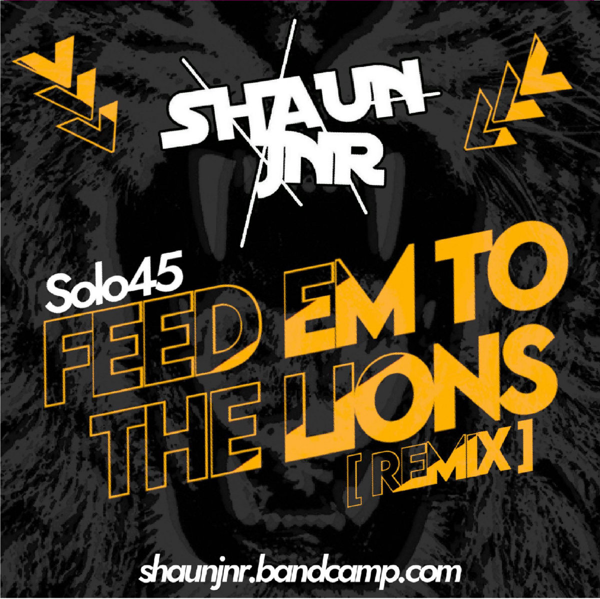 Shaun Jnr - Feed Em To The Lions ( Rmx ) | SHAUN JNR