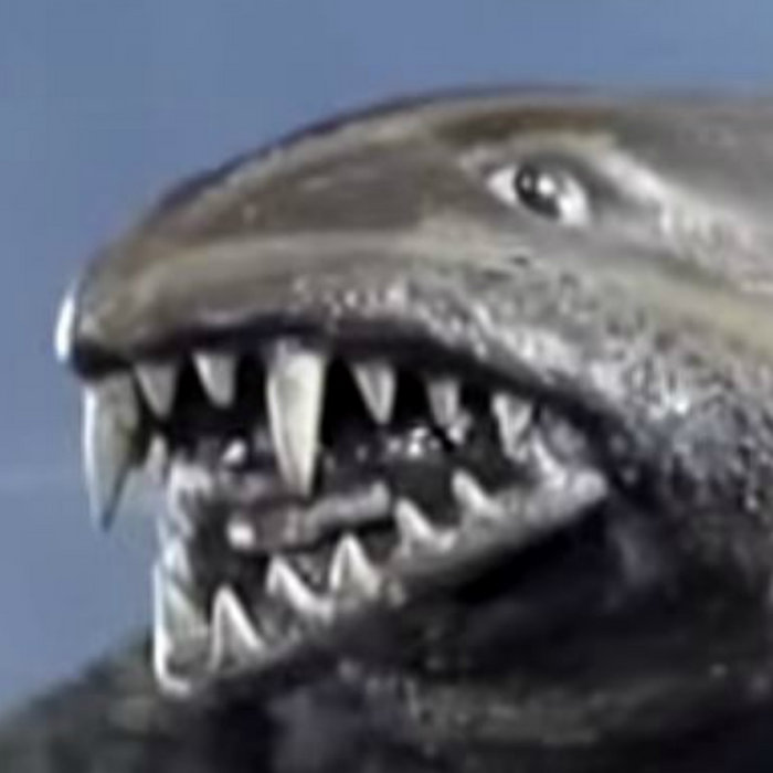 Magick Shark vol1 | Magick Shark | Cryptid Satellite