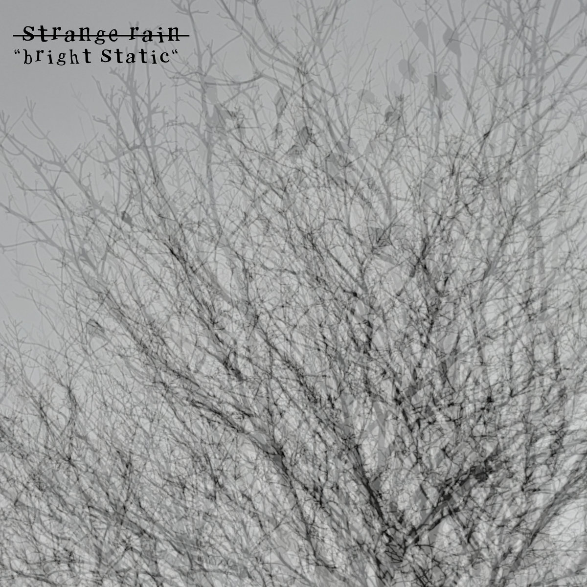 Bright Static | Strange Rain