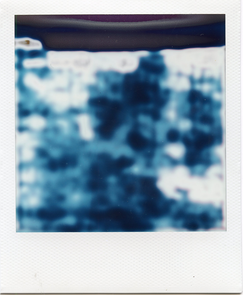 Classic Freaks (The Original) | Adam Raphael | Lake Shore Drive Records