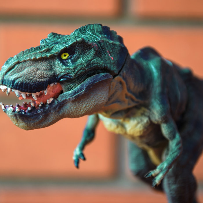 Dinosaurus Rex Song (Dino Whoah!) | Schwimmbad