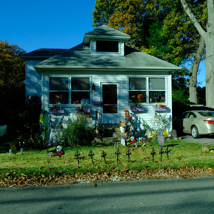 Seasoned Traveller | Flesh Forest