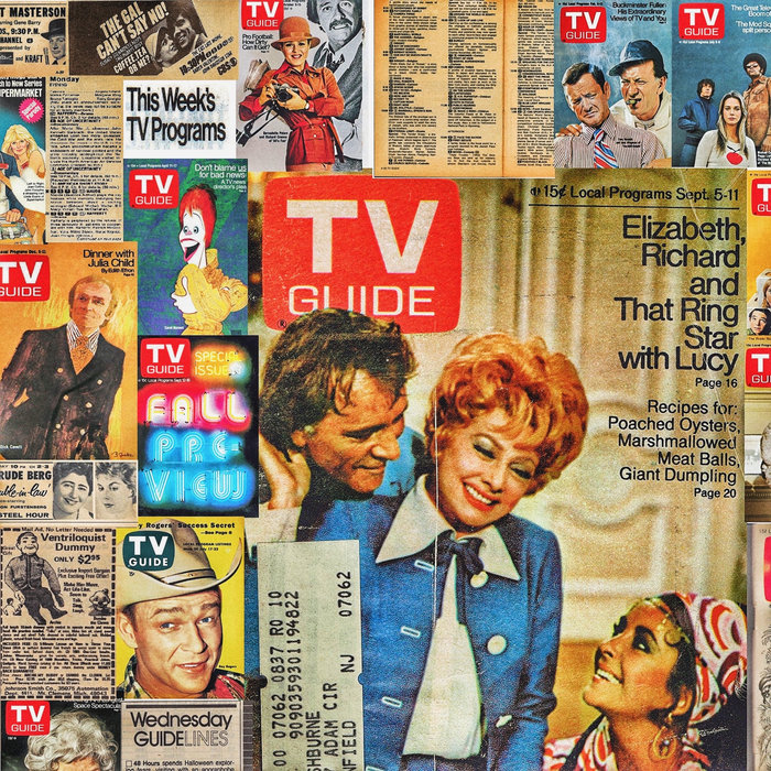 TV Guide Volume 5 | Color Television | Hayden Beck