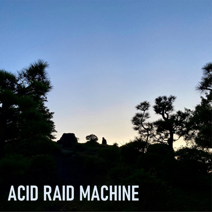 ACID RAID MACHINE | Tsumami