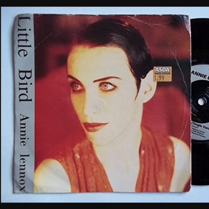 Annie Lennox - Little Bird (Xtopher Remix) | Xtopher