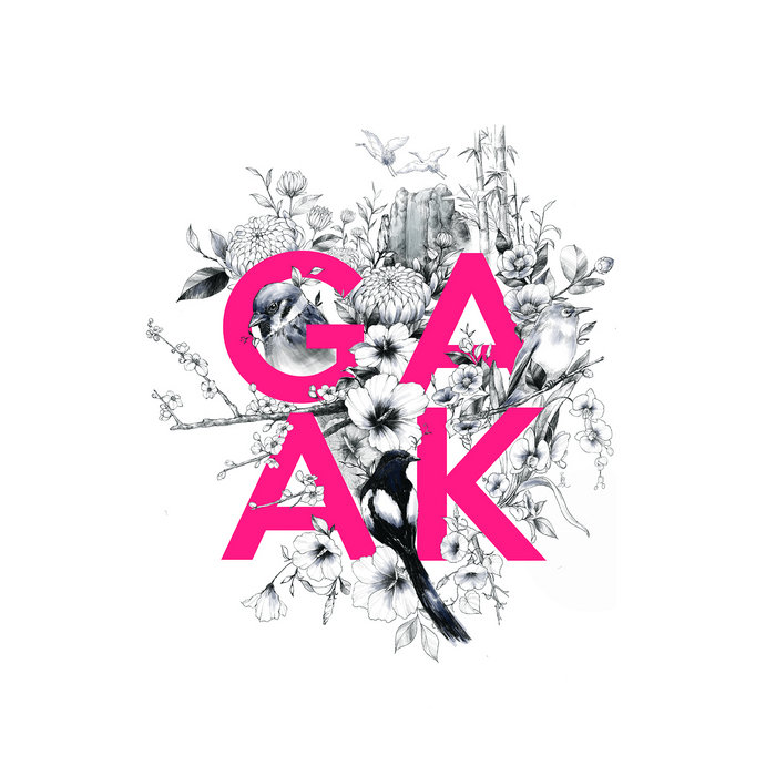 Gaak Project - Soar | Gaak, Project, Soar, Dong-seok Park | gogeum